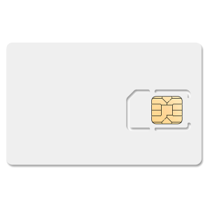 Access Wireless BYOP SIM Card - Access Wireless